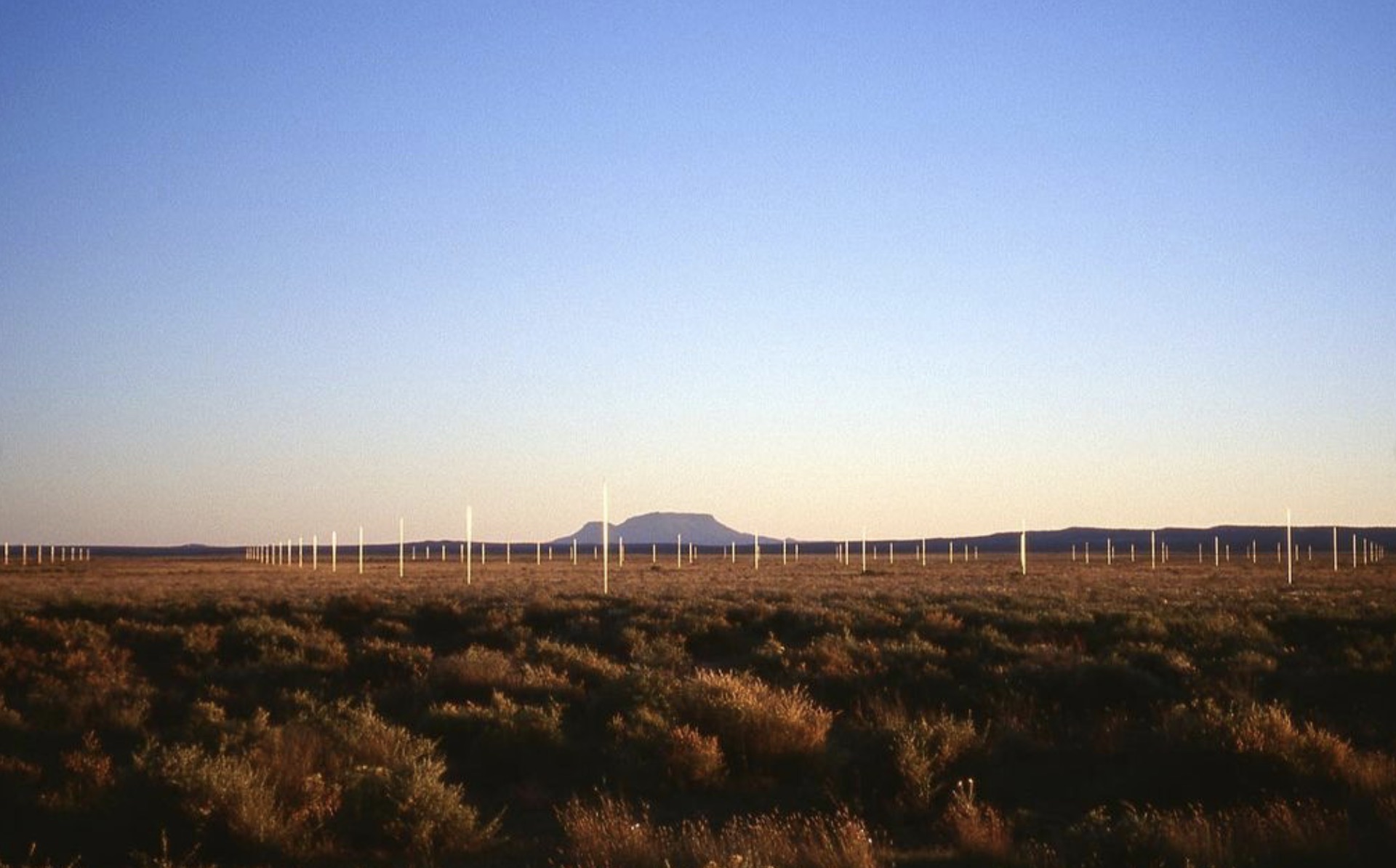 Walter de Maria's "The Lightning Field" 1977 - Katharina Grosse